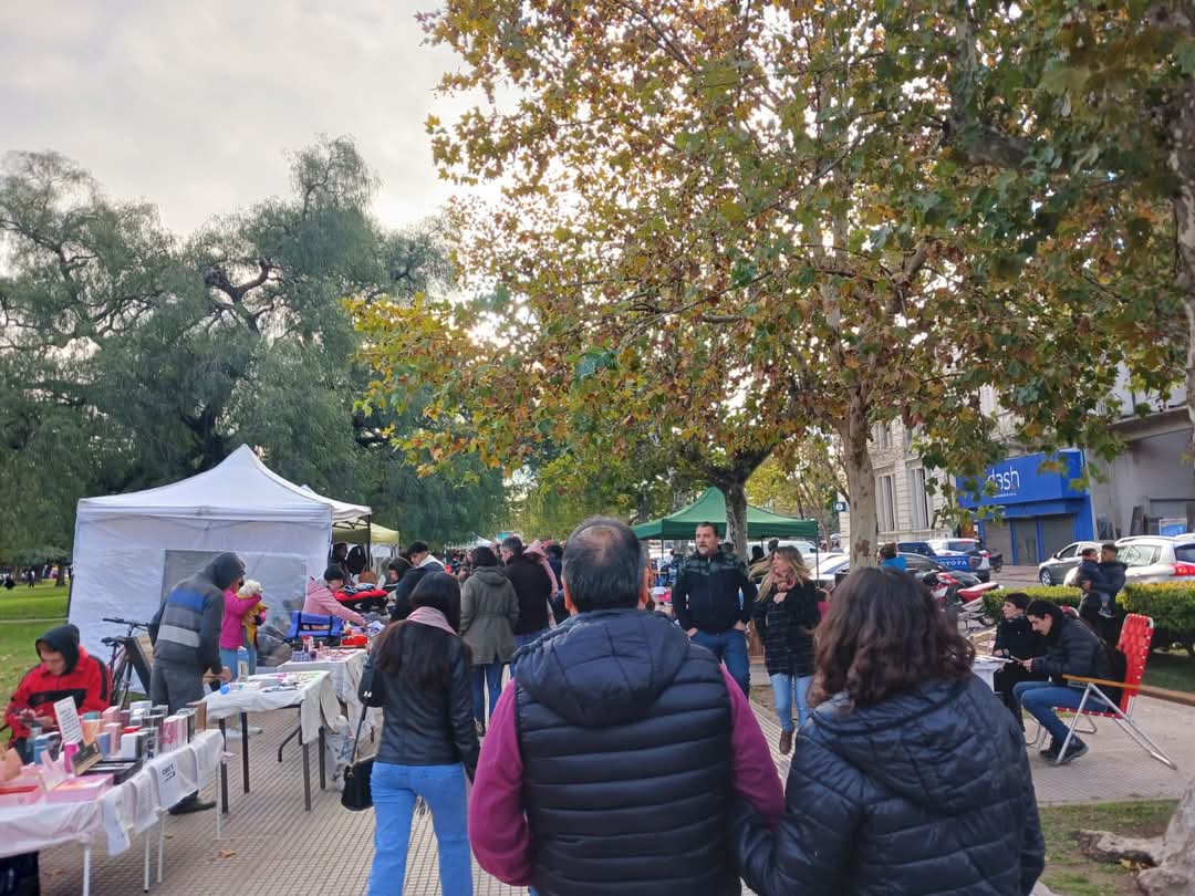 Feria Bio en Plaza 25 de Mayo: Un éxito con más de 300 stands y Yunta ...
